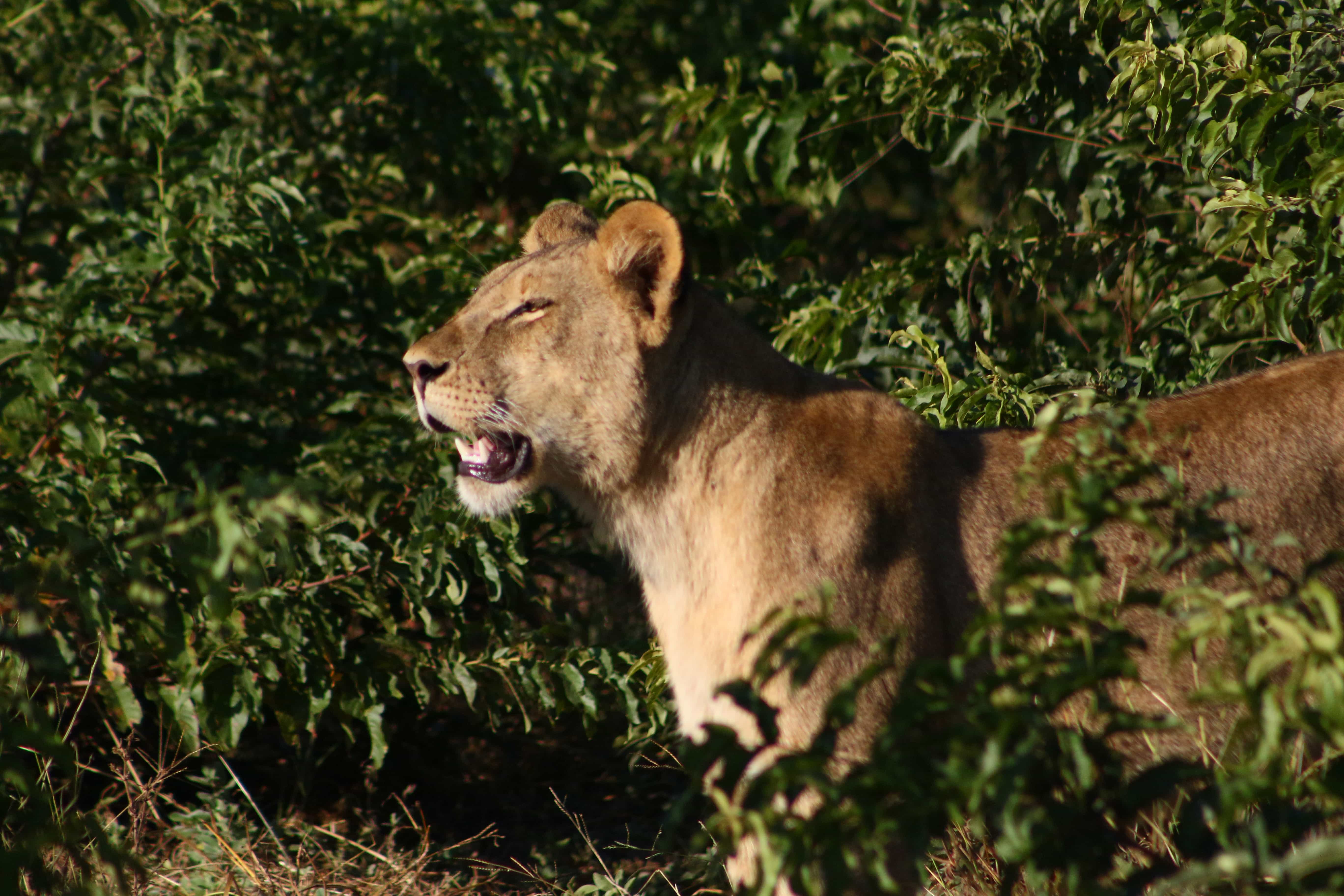 Chobe | Botswana Tourism Organisation