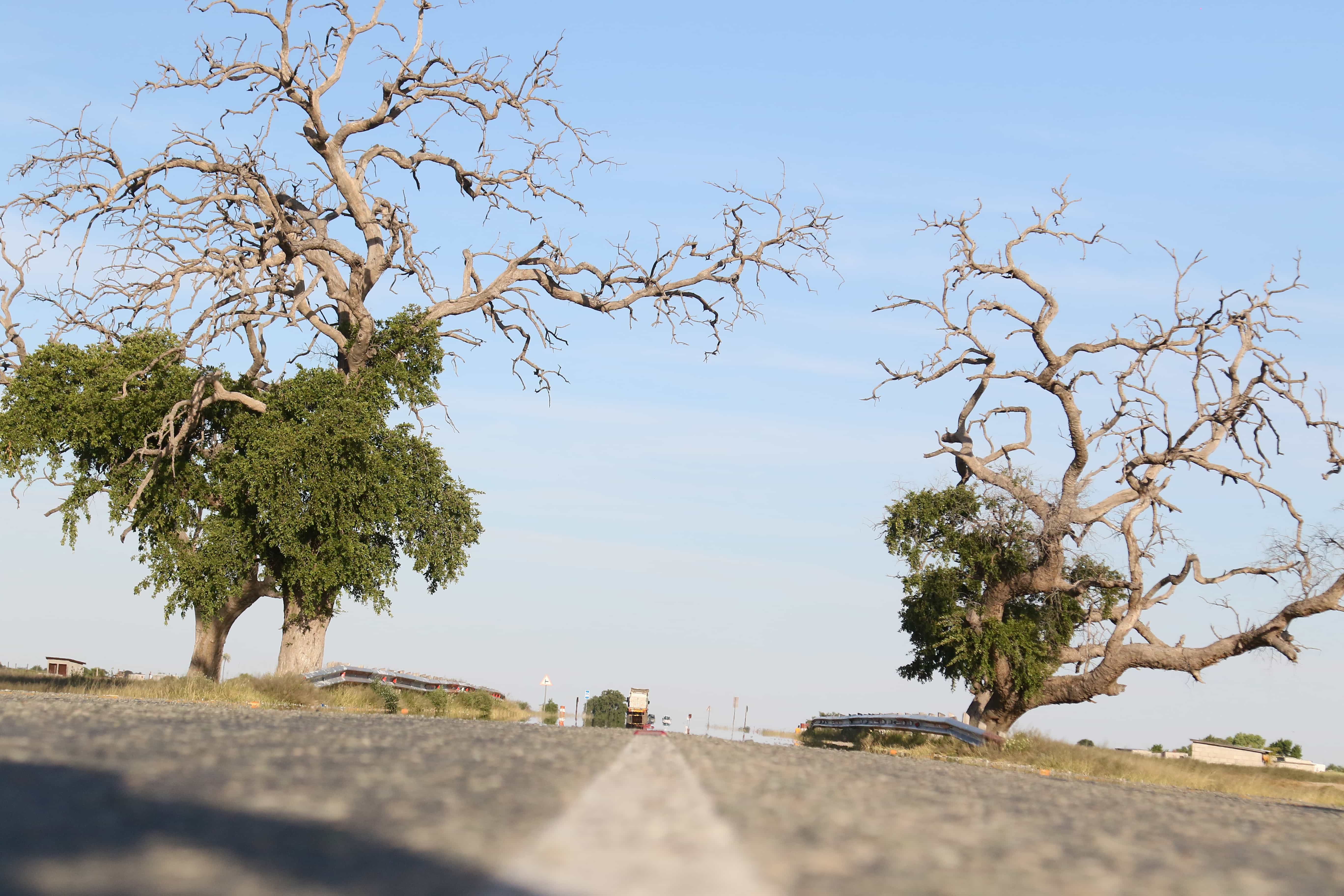 Chobe | Botswana Tourism Organisation