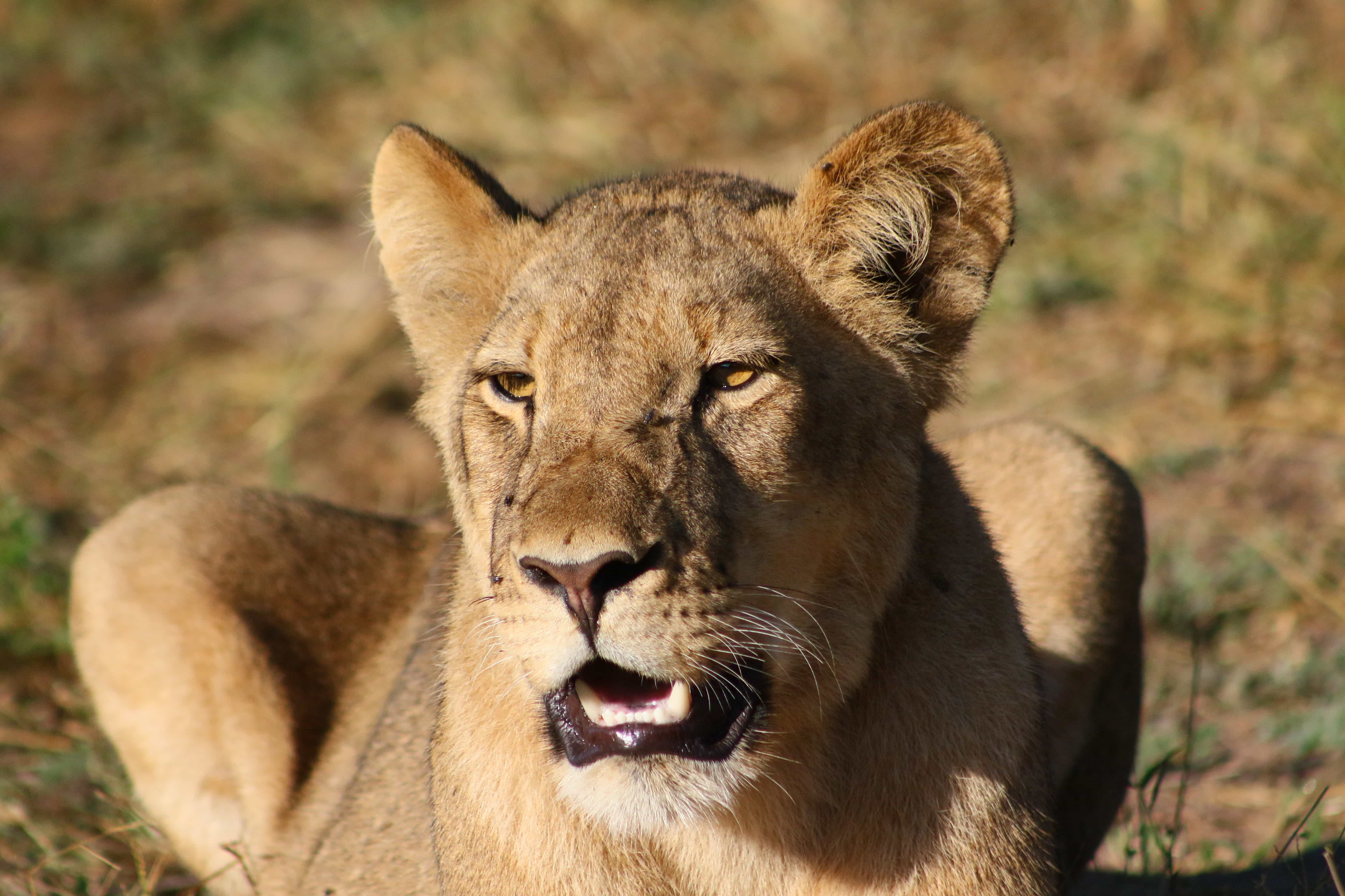 Chobe | Botswana Tourism Organisation