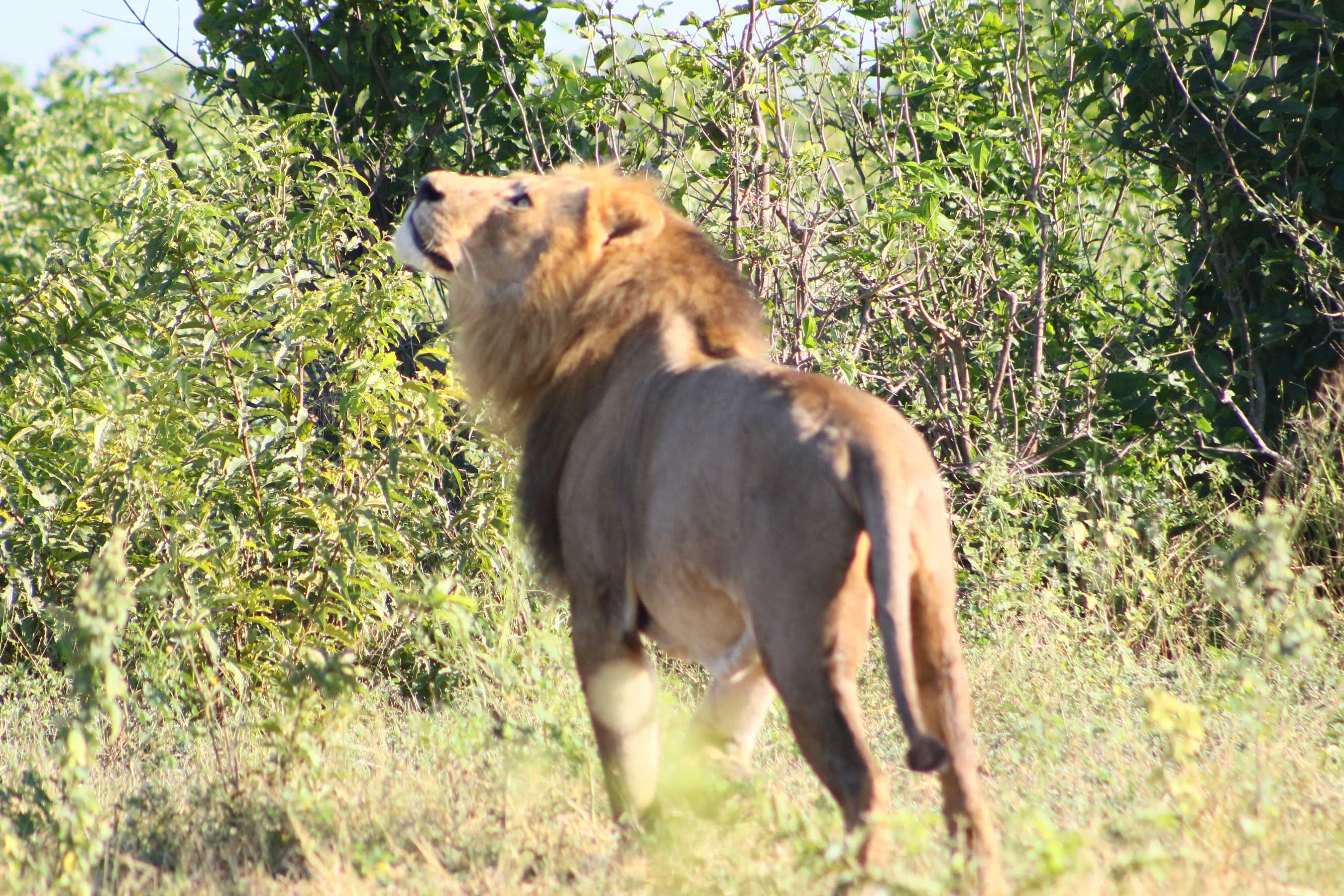 Chobe | Botswana Tourism Organisation