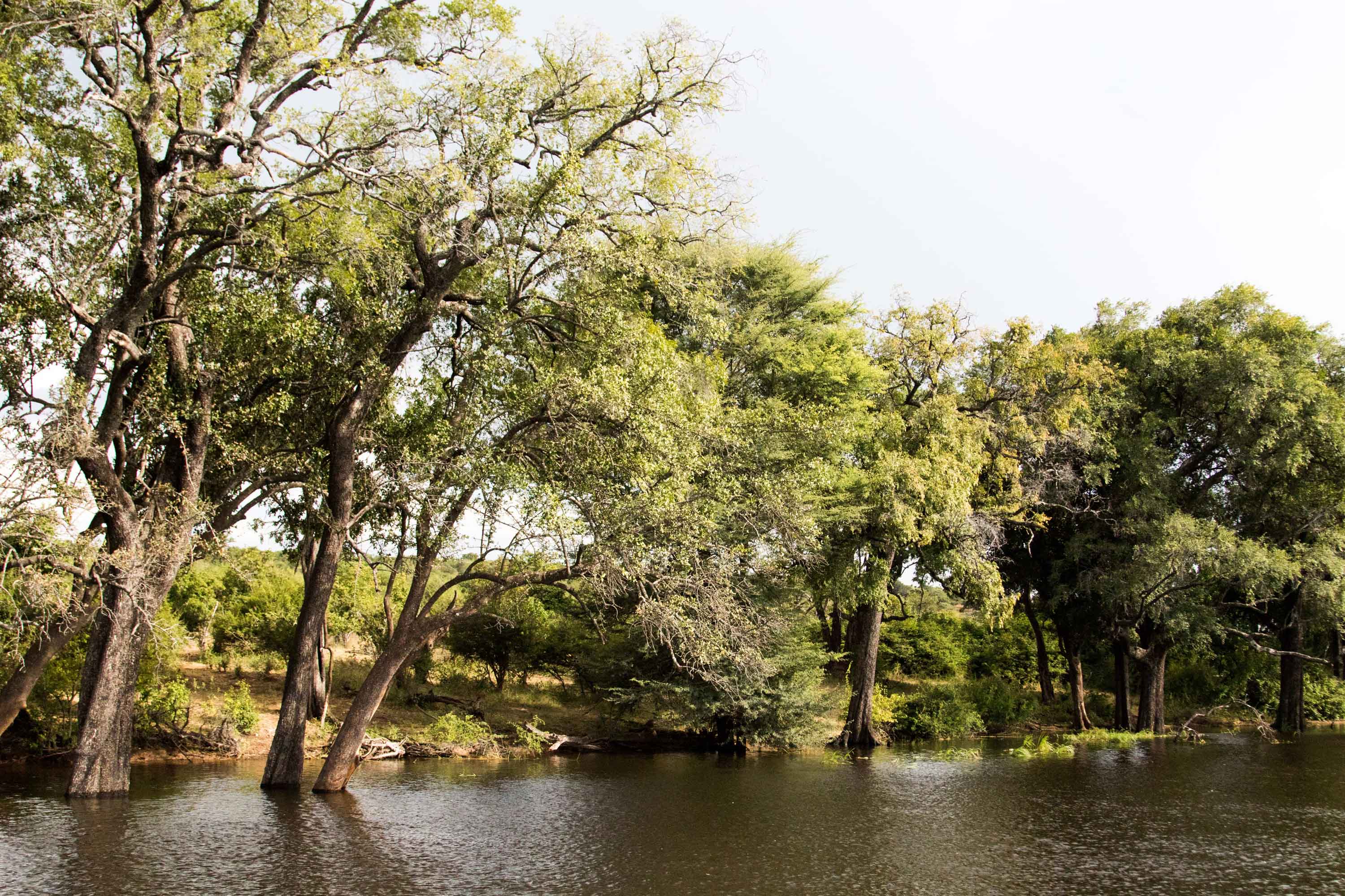 Chobe | Botswana Tourism Organisation