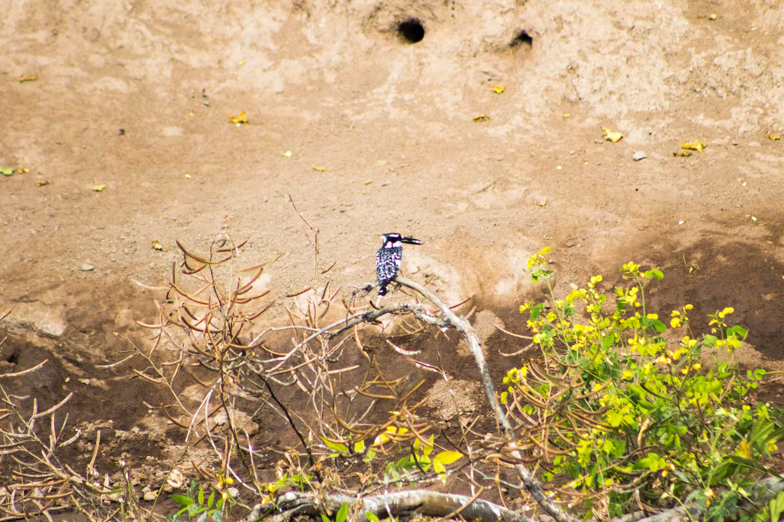 Chobe | Botswana Tourism Organisation