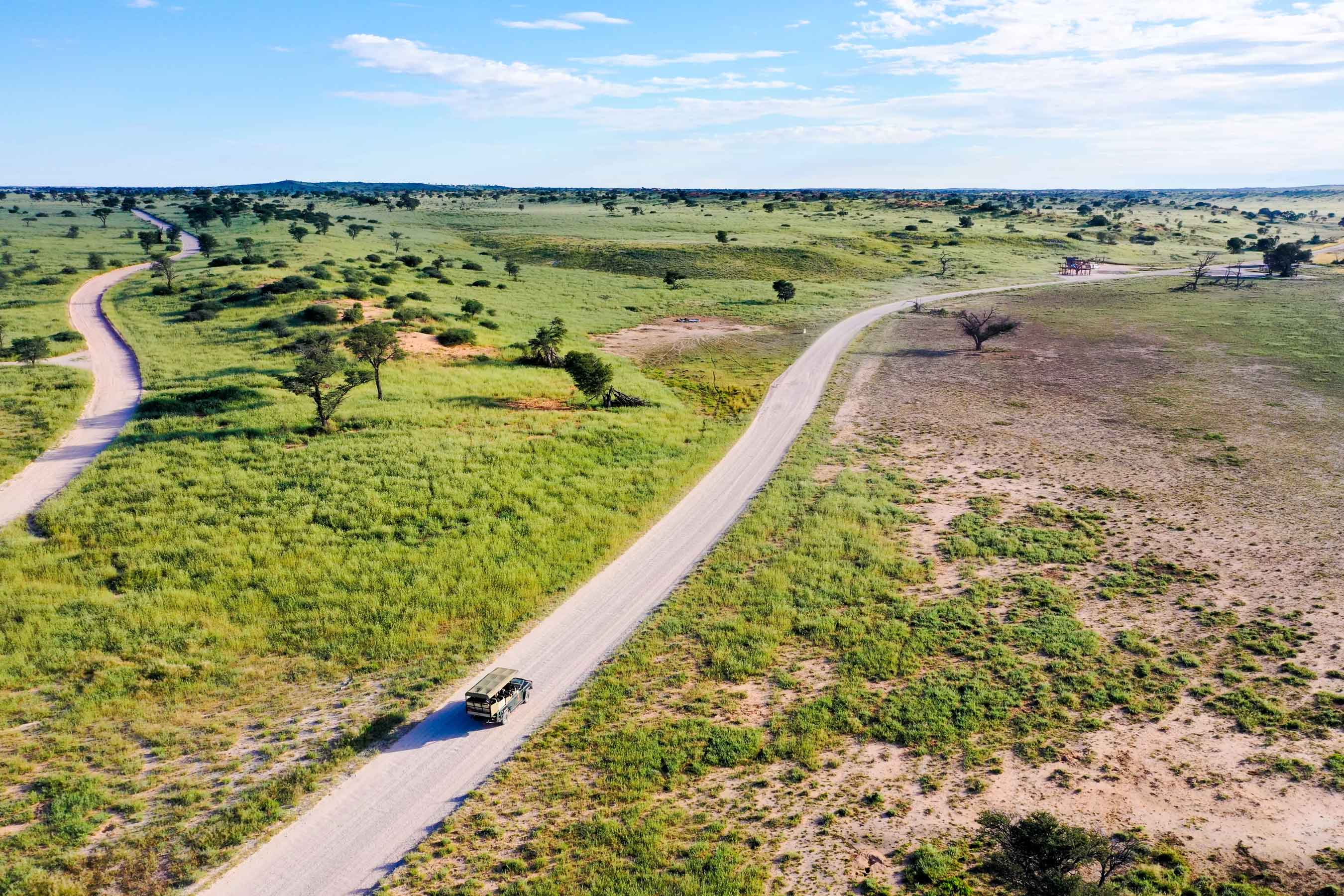 Kgalagadi Transfrontier Park | Botswana Tourism Organisation