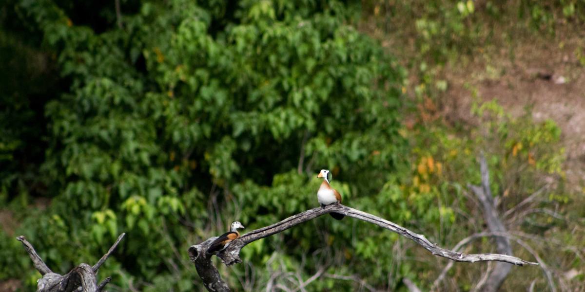 Chobe | Botswana Tourism Organisation