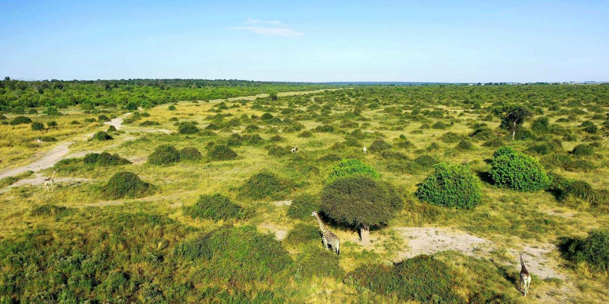 Chobe | Botswana Tourism Organisation