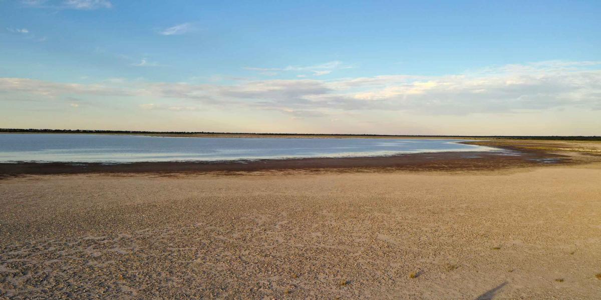 Chobe National Park Riverfront: fees, gate hours, and boat-vs-drive ...