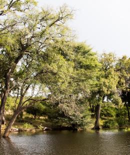Community Projects | Botswana Tourism Organisation