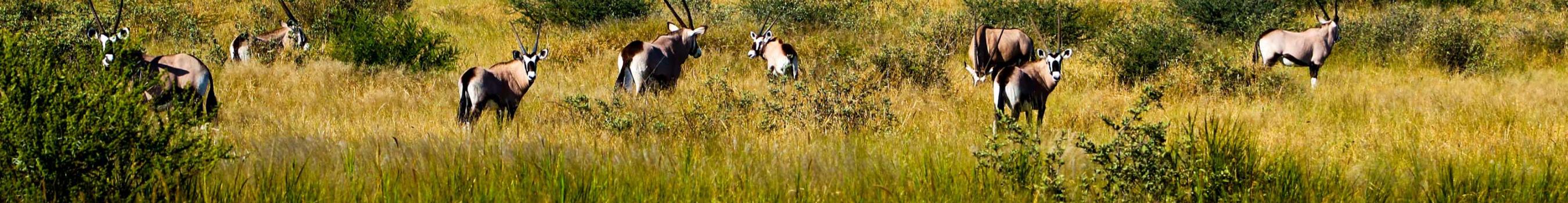 Ghanzi | Botswana Tourism Organisation