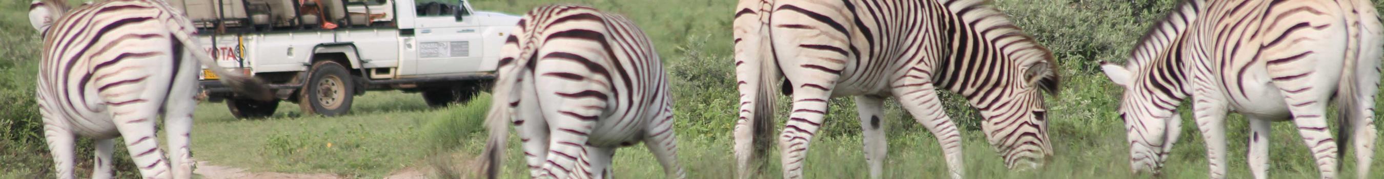 Serowe | Botswana Tourism Organisation