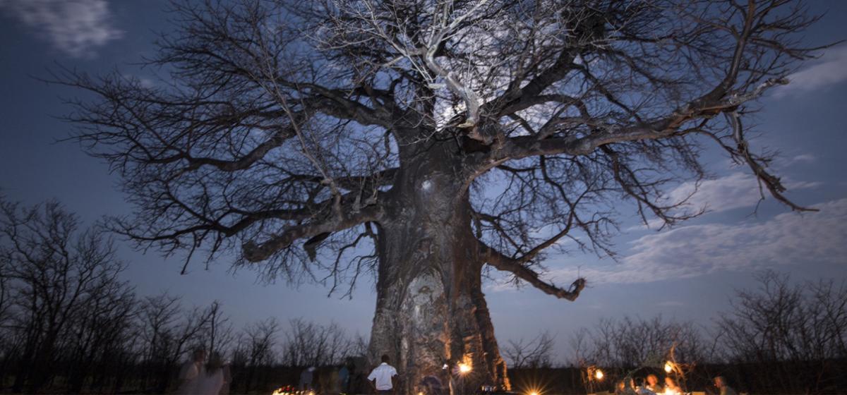 Star Grading System | Botswana Tourism Organisation